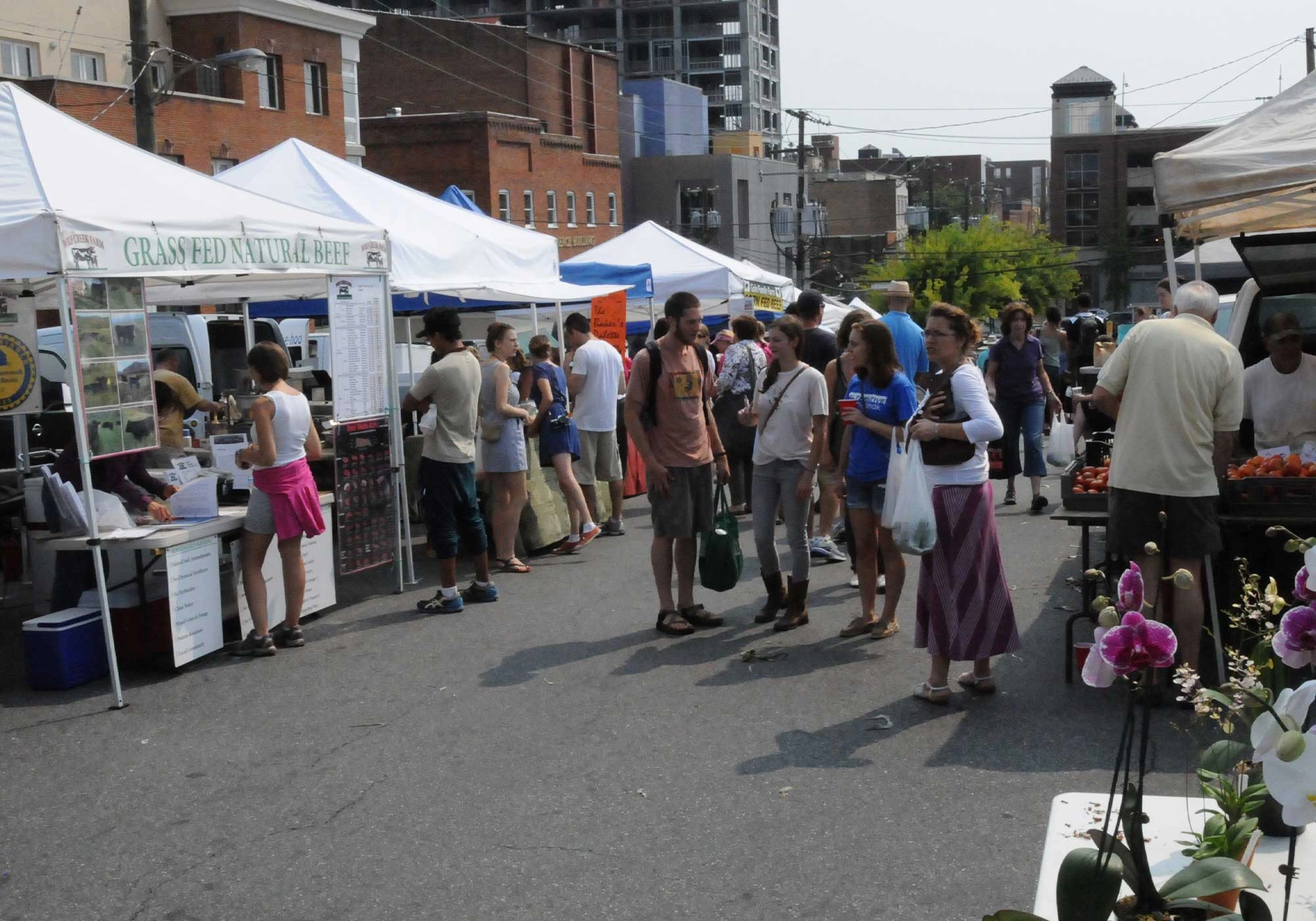 Farmers Markets & Farmstands in Central Virginia - Charlottesville Family